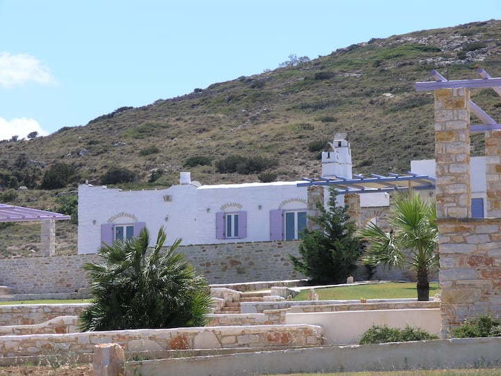 Family Villa In Front Of The Sea - Paros