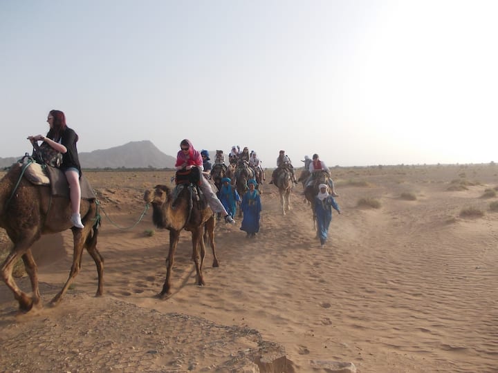 Nuit Dans Le Désert - Bivouac Draa - Zagora