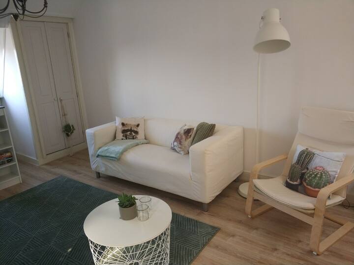 Bright Studio Near Beach (2 Minutes) - The Hague