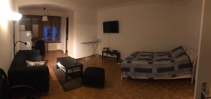 Studio Au Centre Ville De Genève - Geneva