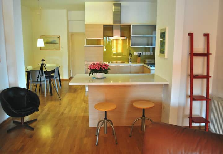 Ficus Tree Apartment Near Public Park, City Center - Nicosia