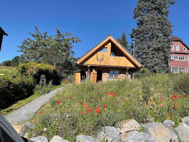 Blockhütte Panhütte - Harz