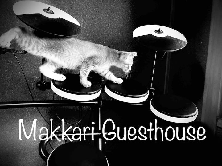 Niseko / Rusutsu : Chillax With Cats ③Single Room - Niseko