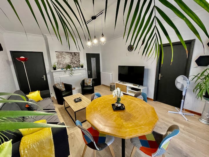 Très Grand Appartement à 10 Min à Pied Du Centre - Castres