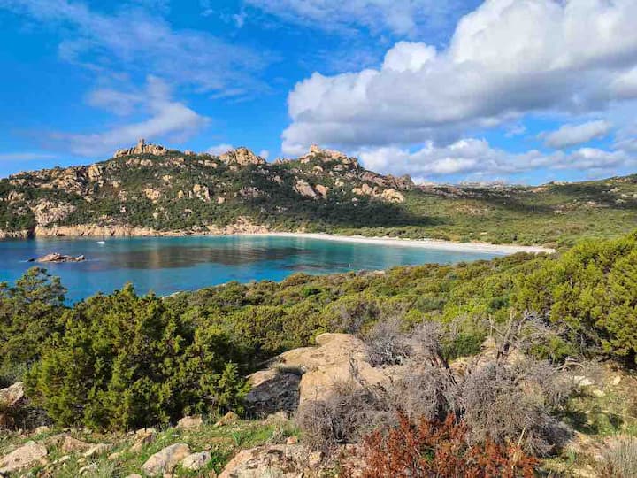 Studio Indépendant à 3km De La Plage De Roccapina - Sartène