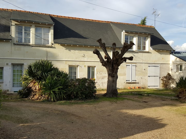 Gite Flora , Pour Professionnels Et Vacanciers - Montsoreau