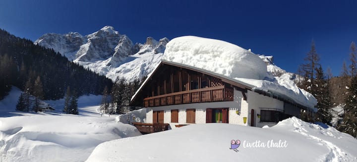 Ski-in/out Chalet With Fireplace In The Dolomites - Selva di Cadore