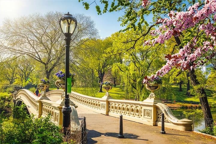 Amazing Brownstone Apartment Just Off Central Park - 曼哈頓