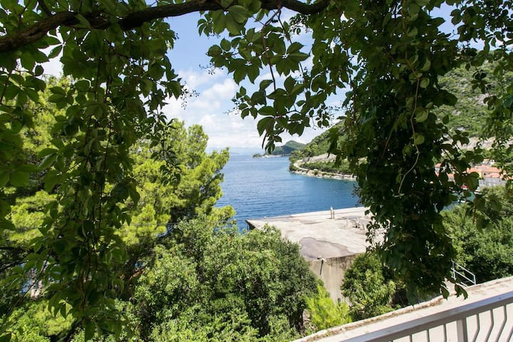 Apartment Marija 1 - Mljet