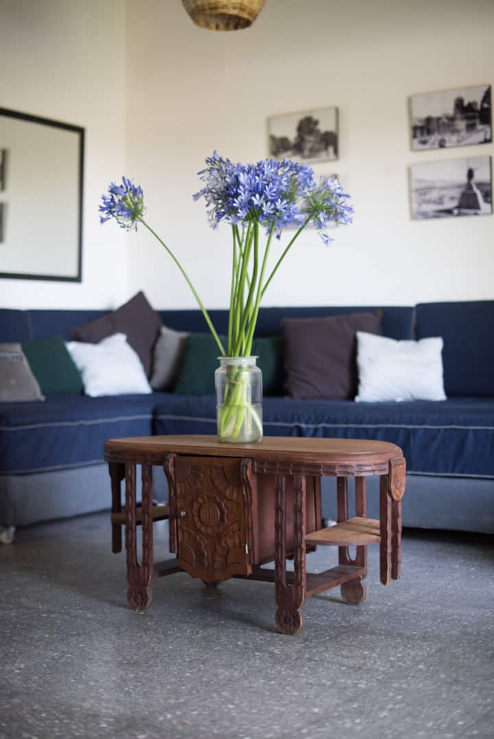 Eco Garden - La Mercería - Jardín Xoloitzcuintli - Oaxaca