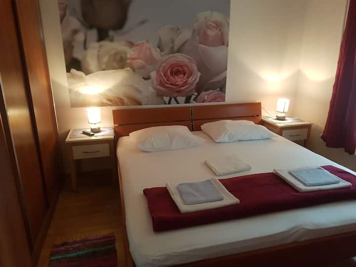 App 3 Willy - Bibinje