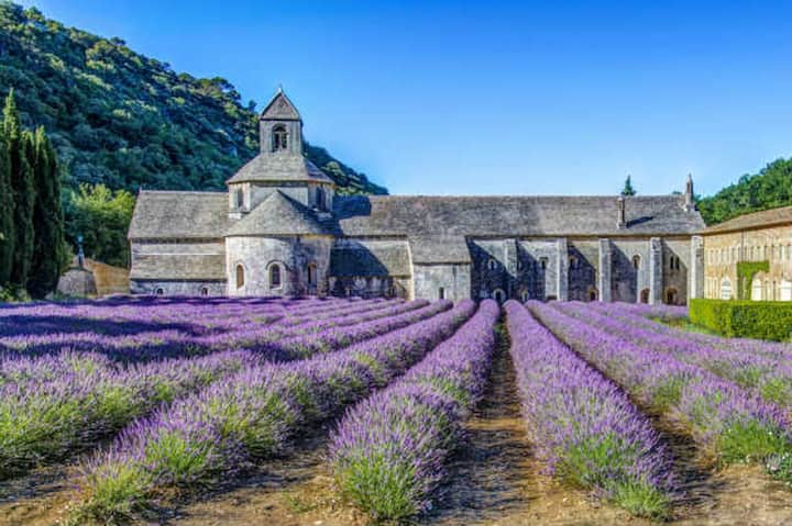 Aix - Le Tholonet - Gîte Au Milieu Des Vignes - Le Tholonet