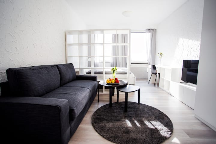 Neusaniertes 1,5 Zimmerapartment In Stuttgart - Stuttgart