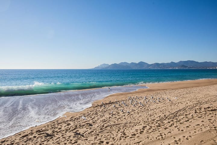Cosy Golden Beach Studio (Cannes, Plage 150 M) - Cannes