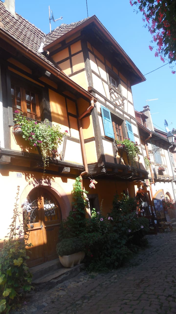 Gîte De Charme Sur Les Remparts - Eguisheim