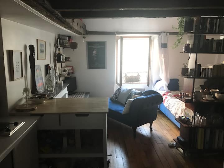 Studio Avec Charme Parisien - Quartier Saint-Germain-des-Prés