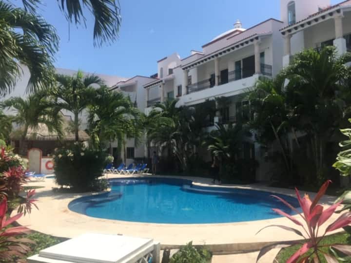 Gaviotas - Playa del Carmen