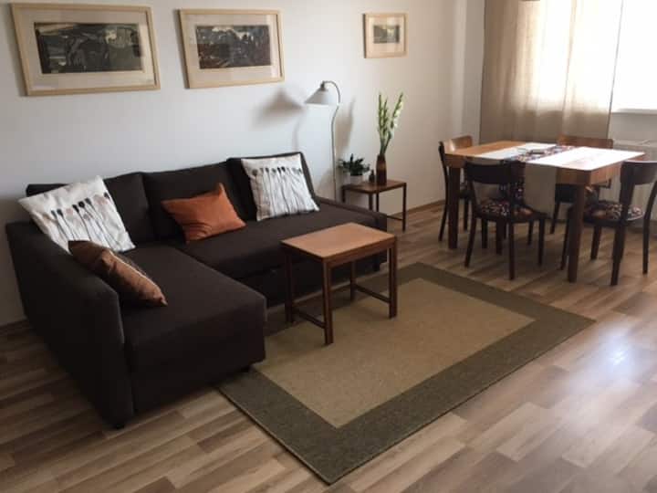 Newly Renovated Apartment In Great Location - Bratysława