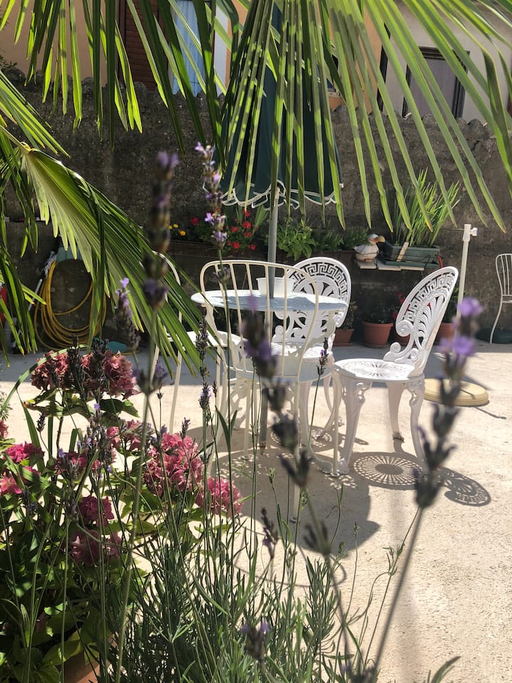 Amazing City Center Apartment  With A Garden - Rijeka