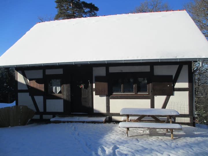 Le Petit Pavillon - En Pleine Forêt - Ribeauvillé