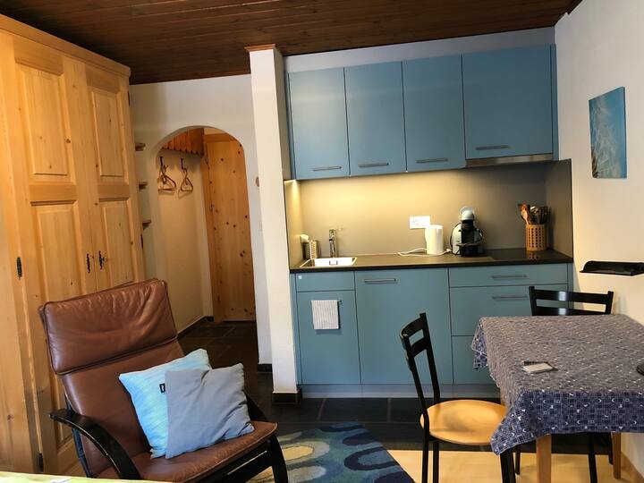 Ferienwohnung Mugliner 117a, (Ftan), F) Studio 1.stock - Guarda