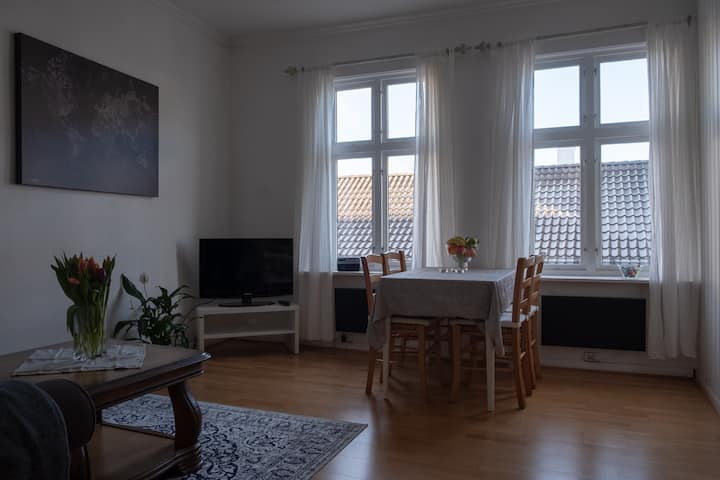 Sjarmerende, Nyoppusset, Leilighet Med P I Sentrum - Norvegia