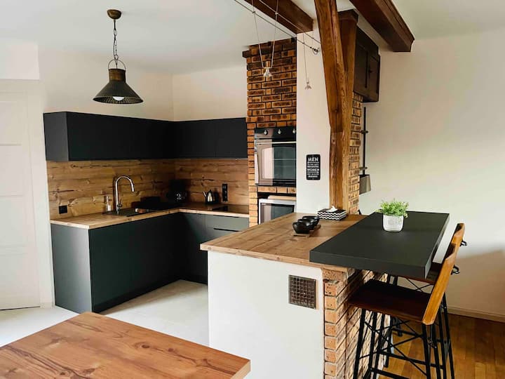 Beau F1 Traversant, Central Et Vue Montagne - Meylan