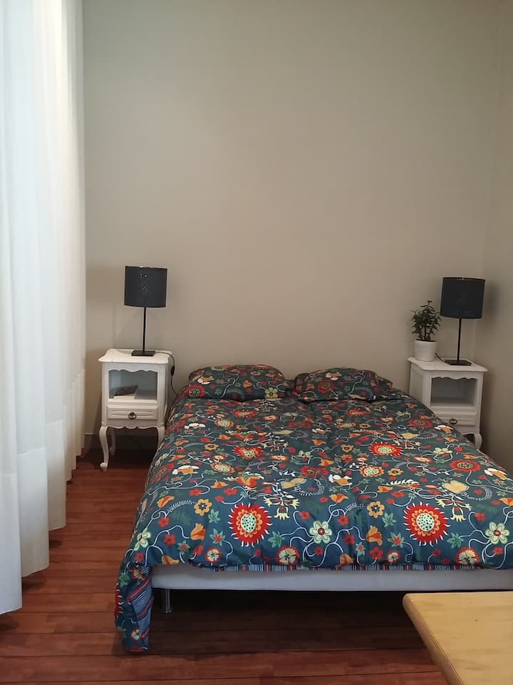 Appartement 4 Personnes Centre Historique Grenoble - Chamrousse