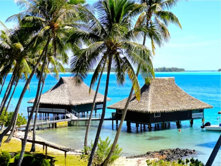 Marlon's World Famous Over Water Bungalow! - Bora-Bora