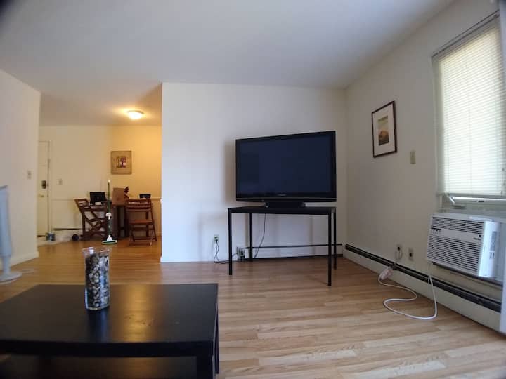 Two Bedroom Apartment! #209 - Lansing, MI