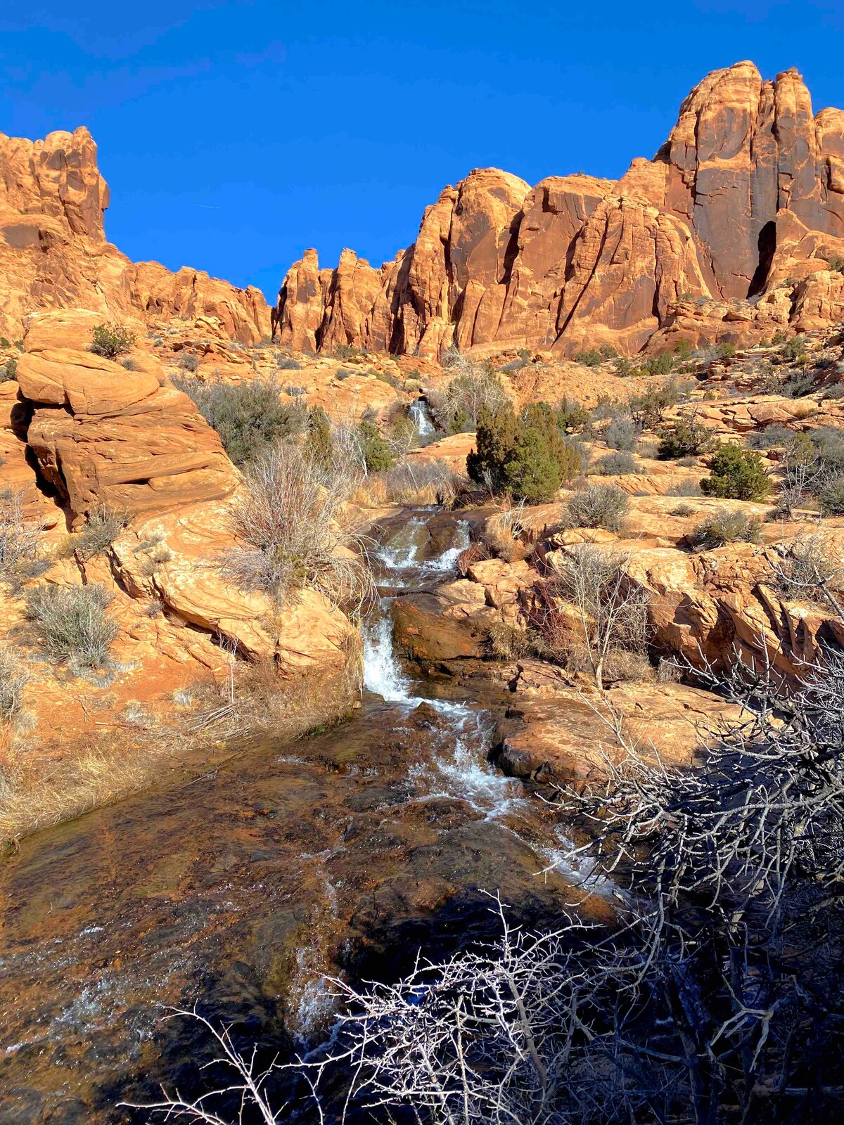 Moab Valley Vacation Rentals & Homes - Moab, UT | Airbnb