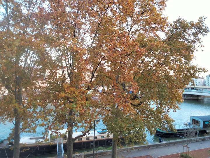 Appartement Quartier St.georges - Lyon