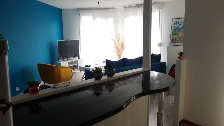 Appartement Lumineux Avec Balcon - Le Zénith de Strasbourg