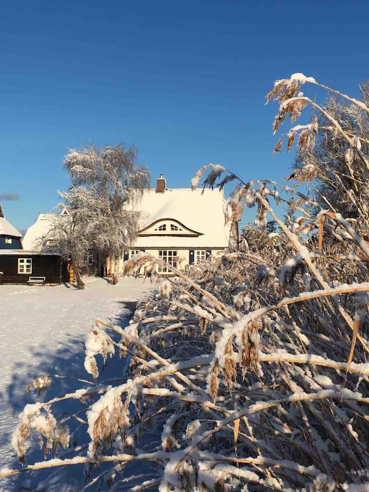 Ferienhaus An De Waterkant Direkt Am Bodden - Darß