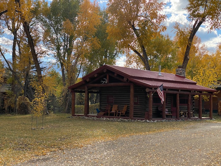 Lux Cabin In Bv, Walk To Dwntwn! Hi-spd Telework - Buena Vista, CO