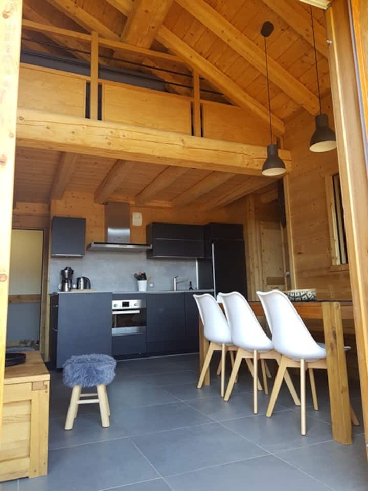 Magnifique Duplex - Ski Aux Pieds - 8 Personnes - Fontcouverte-la-Toussuire
