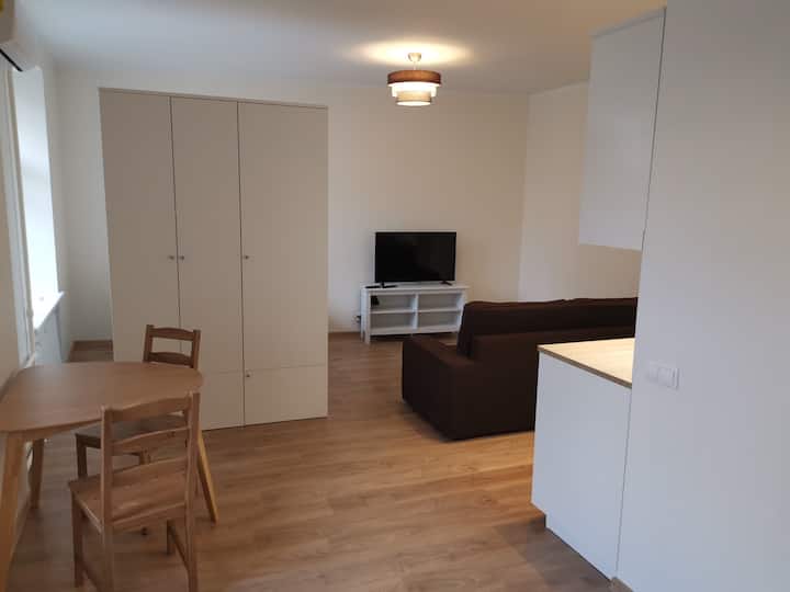 Baron Street Apartment, 5min Walk From Old Town - Riga