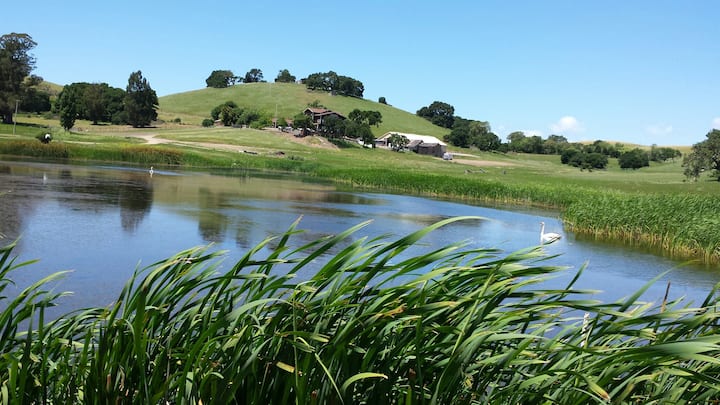 Ranch Stay Winery Tasting Room - Petaluma, CA