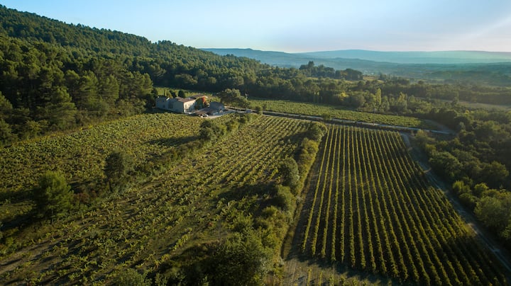Gîte Du Vignoble Château Saint Pons En Luberon - Luberon