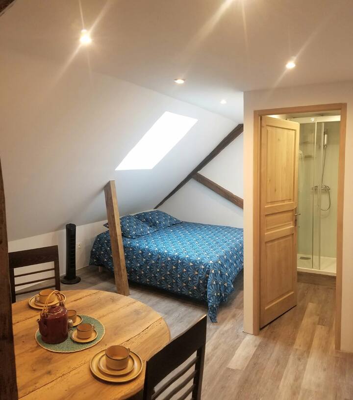 Jolie Chambre Avec Sdb Privée Au Centre Ville - Saint-Yrieix-la-Perche