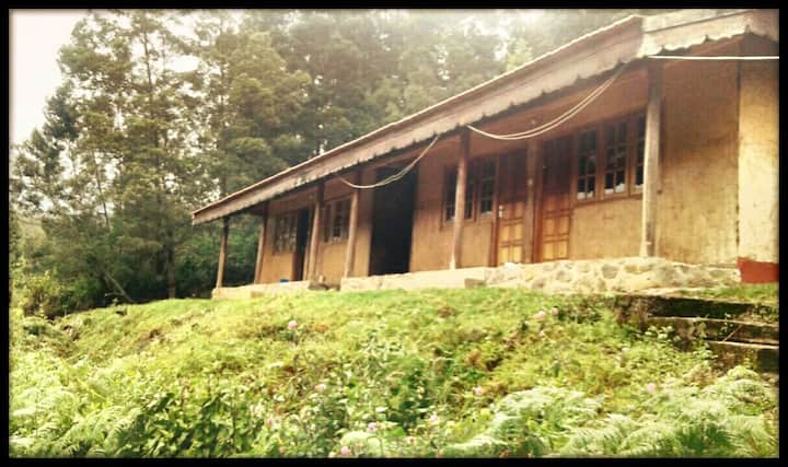 Kookal Holiday Rentals & Homes - Tamil Nadu, India | Airbnb