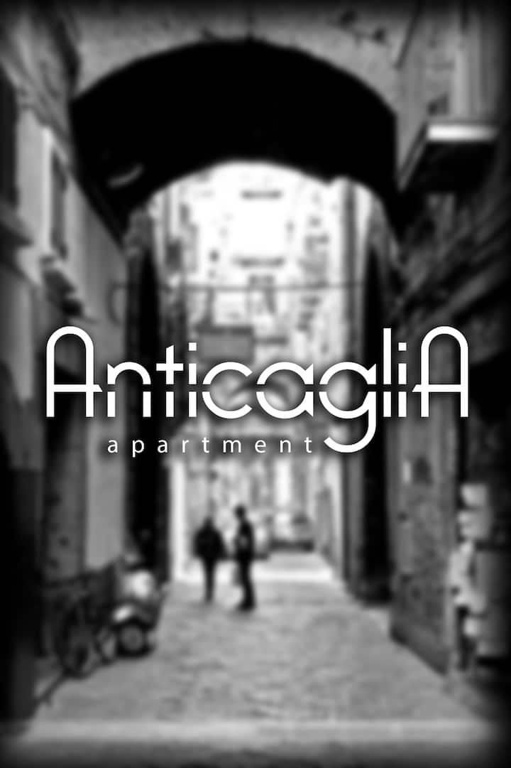 Anticaglia Appartamento Centro Storico Napoli - Nápoles