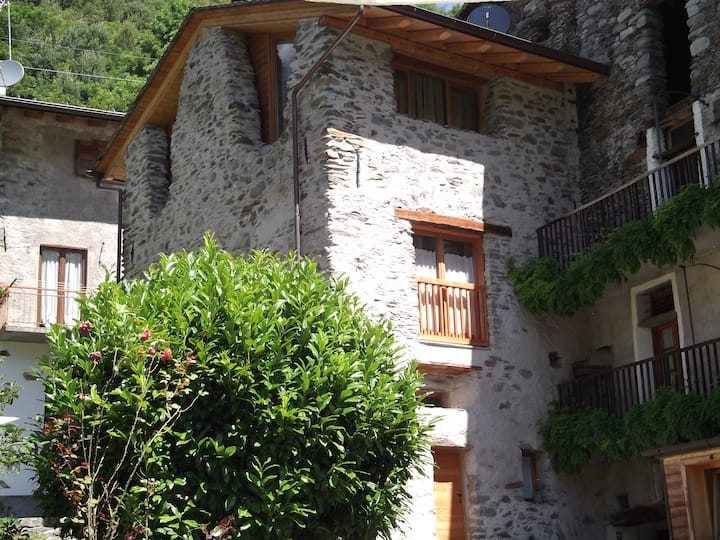 Grande Vegan - Tirano