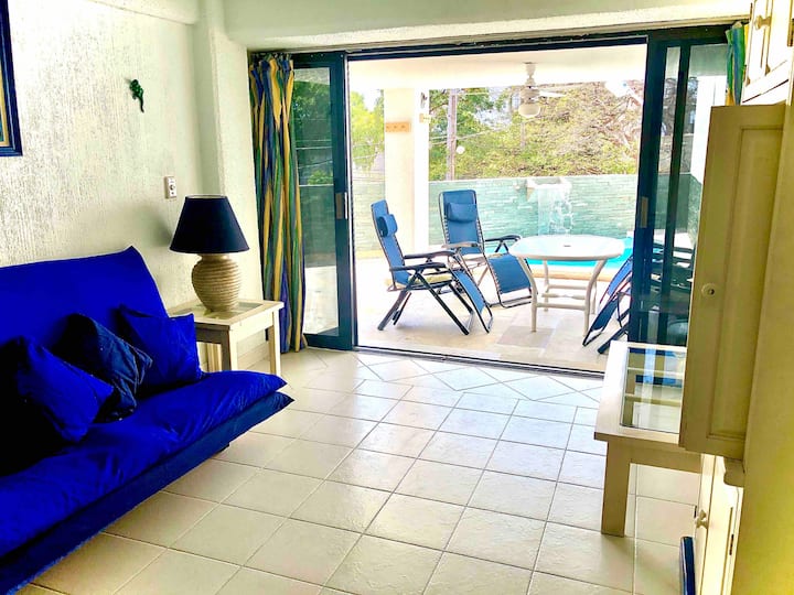 Brisamar Aparment (Recently Remodeled) - Acapulco