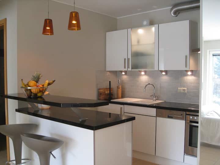 Modern 50sqm Apartment With Parking - Luxemburg