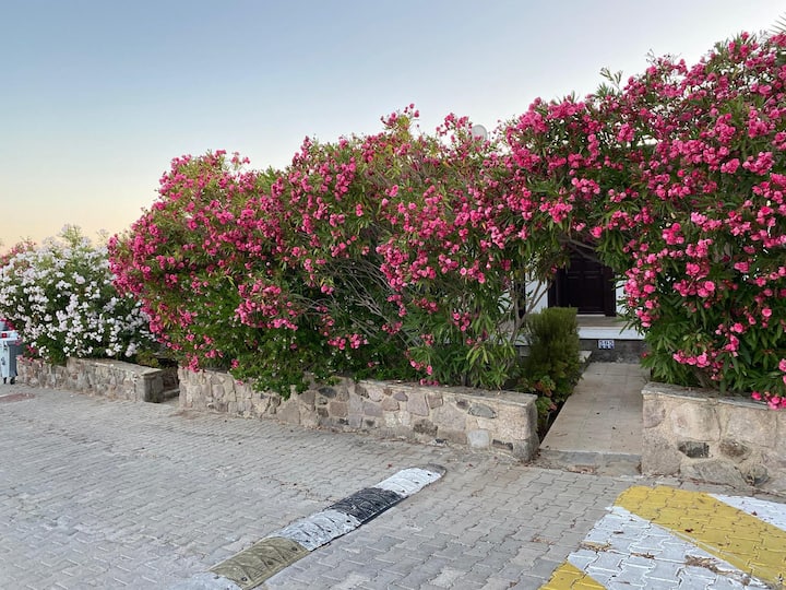 Bodrum Aktur’da Deniz Manzaralı şıK, Bakımlı Villa - Bitez