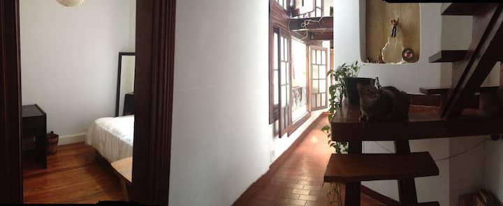 Una Habitación En El Corazón De San Telmo - Buenos Aires