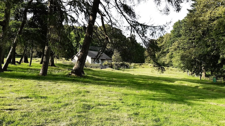 Cottage On Edge Of Woodland. Auchinellan Estate. - Loch Awe