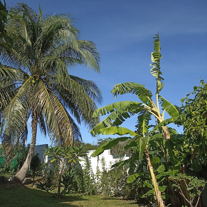 Logement à 200 M De La Mer - Guadeloupe