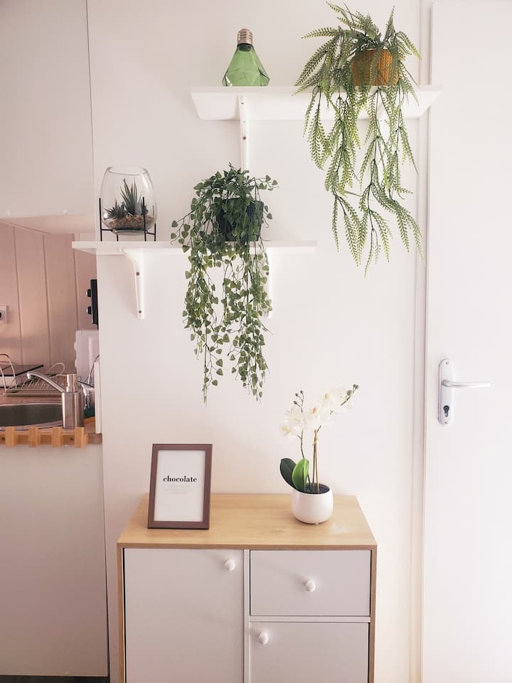 Studio "Rio" à Issoire - Issoire